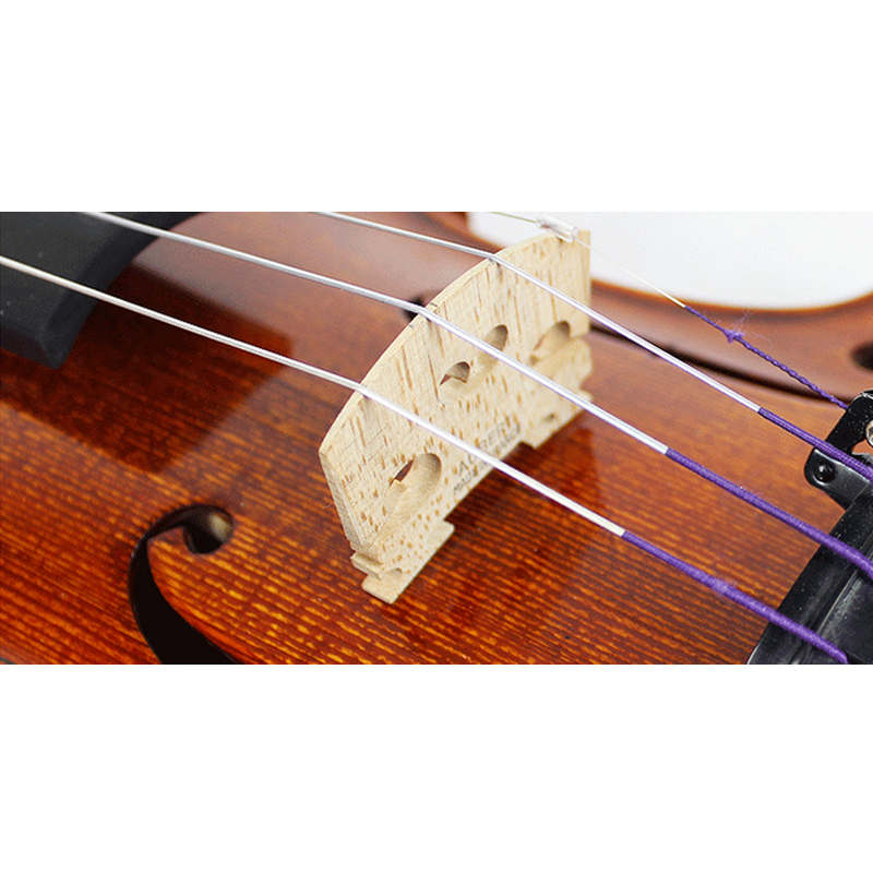 One-Piece Flame European Maple Back Violin CV1418OP - Buy Violin, Maple ...